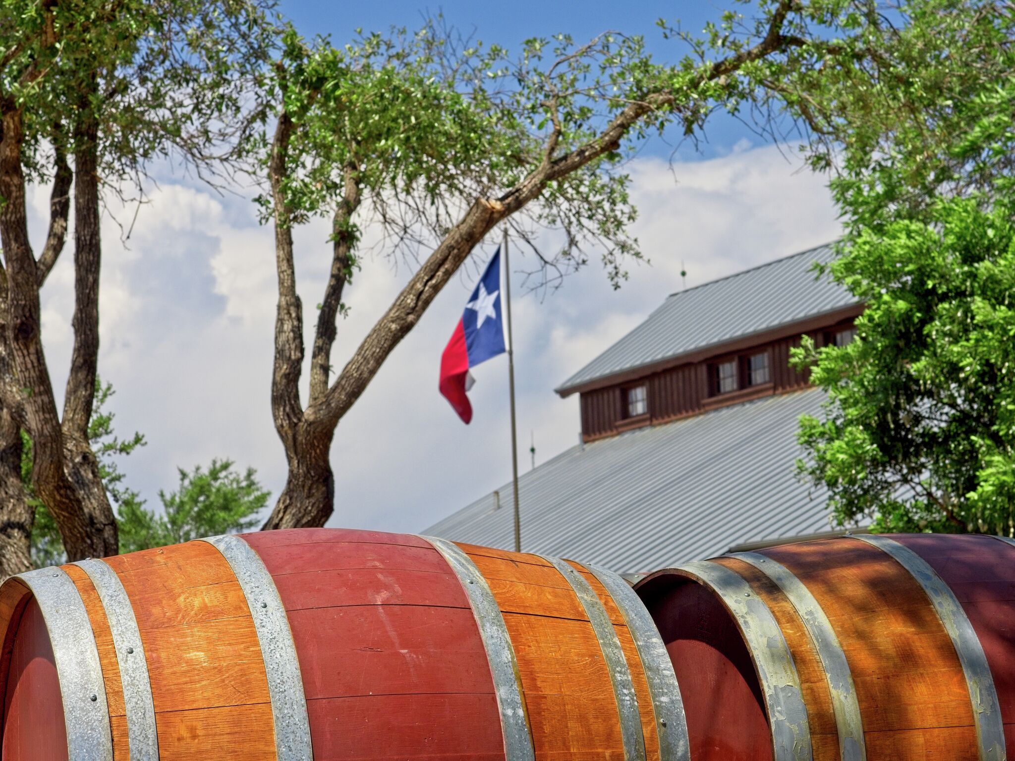 Celebrating 25 years of Texas Hill Country Wineries