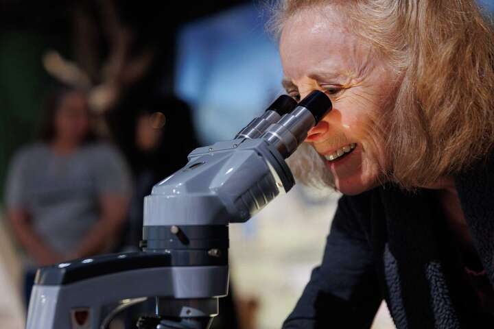 Institute of Texan Cultures’ rare Karankawa canoe being analyzed