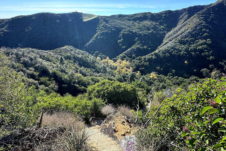 This hidden staircase on the Calif. coast leads to a dark urban legend