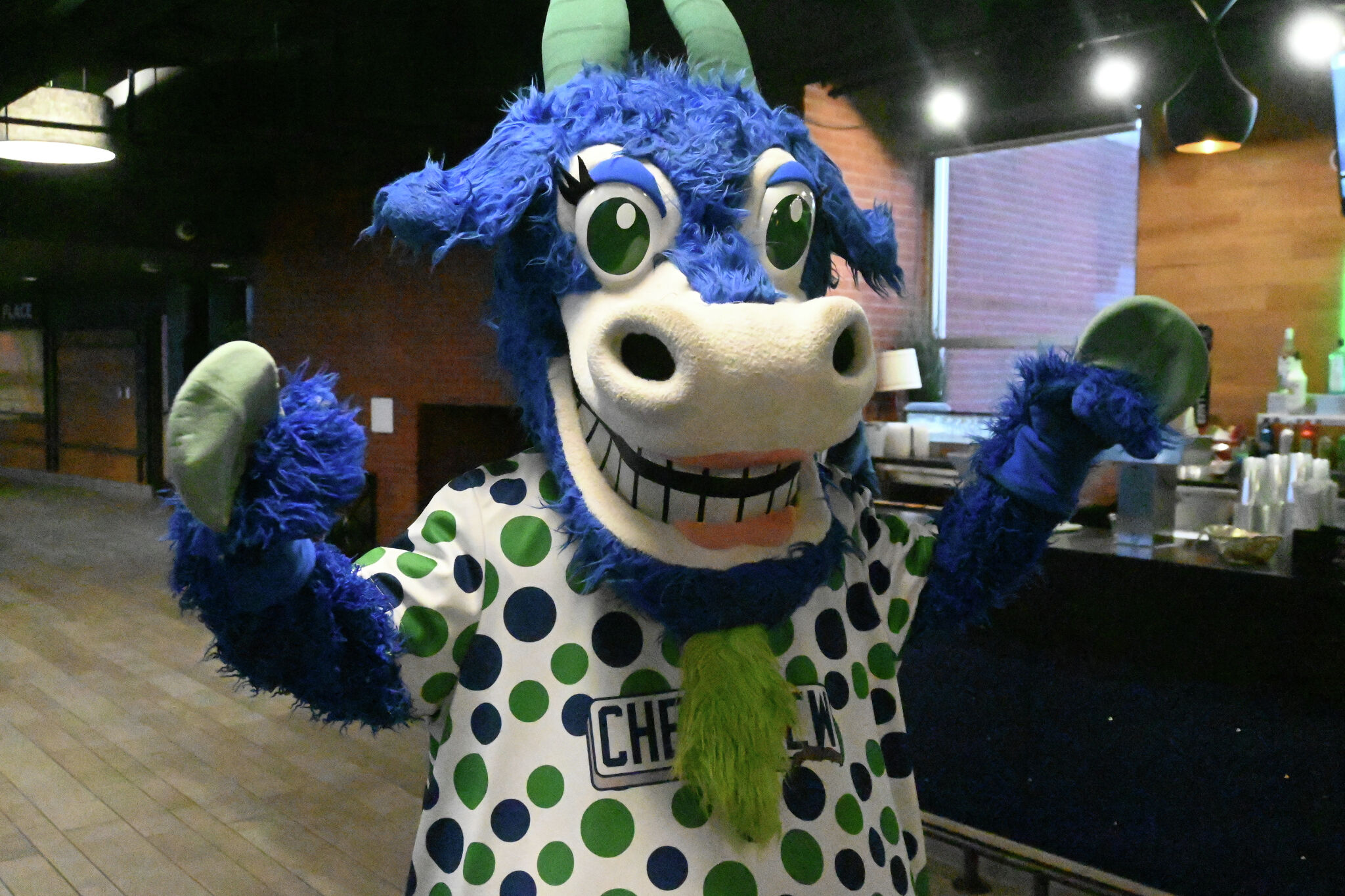Uconn Mascot Logo