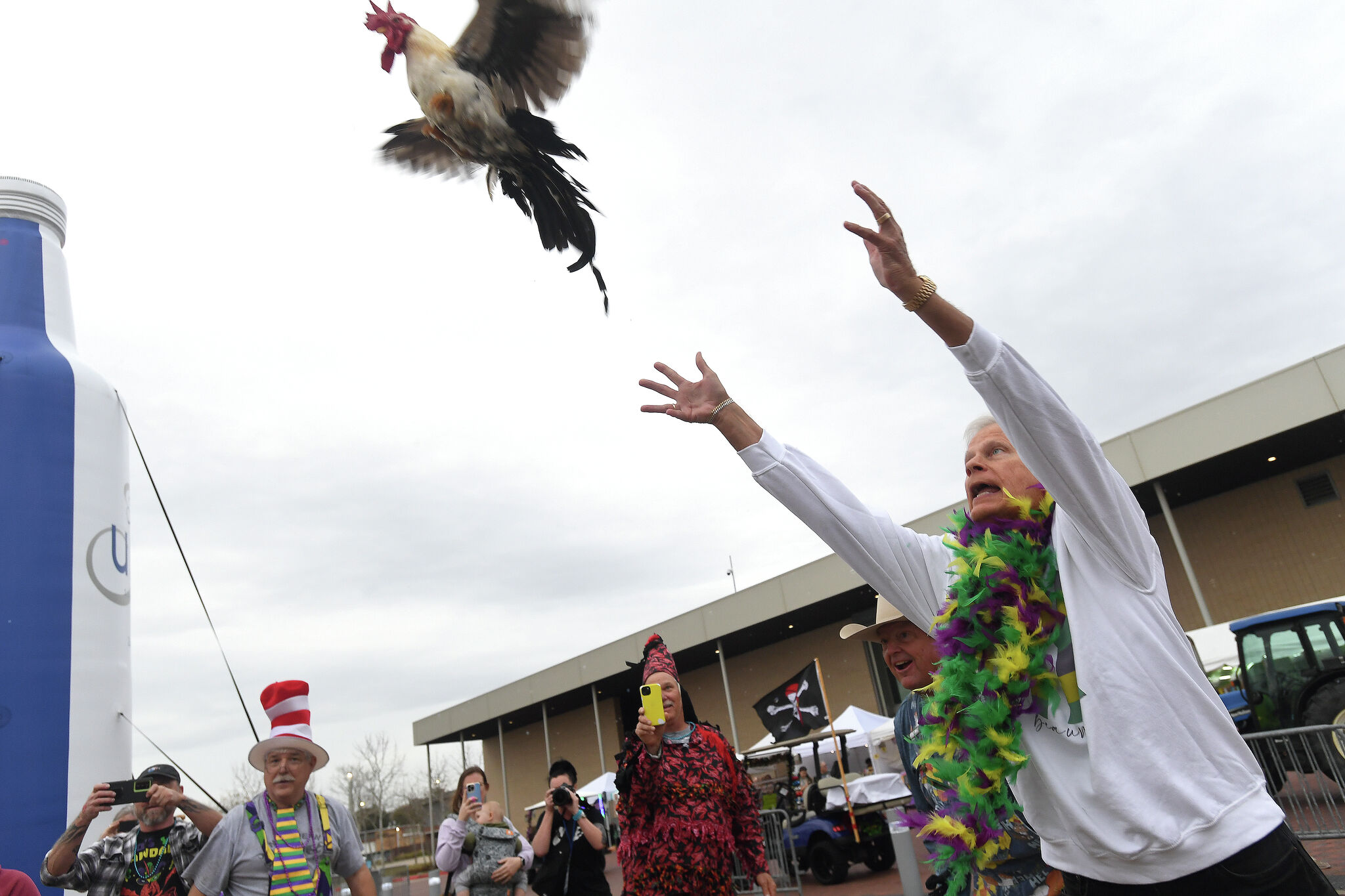 Mardi Gras festivities underway with annual chicken toss