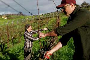 Esther Mobley, Senior Wine Critic - San Francisco Chronicle