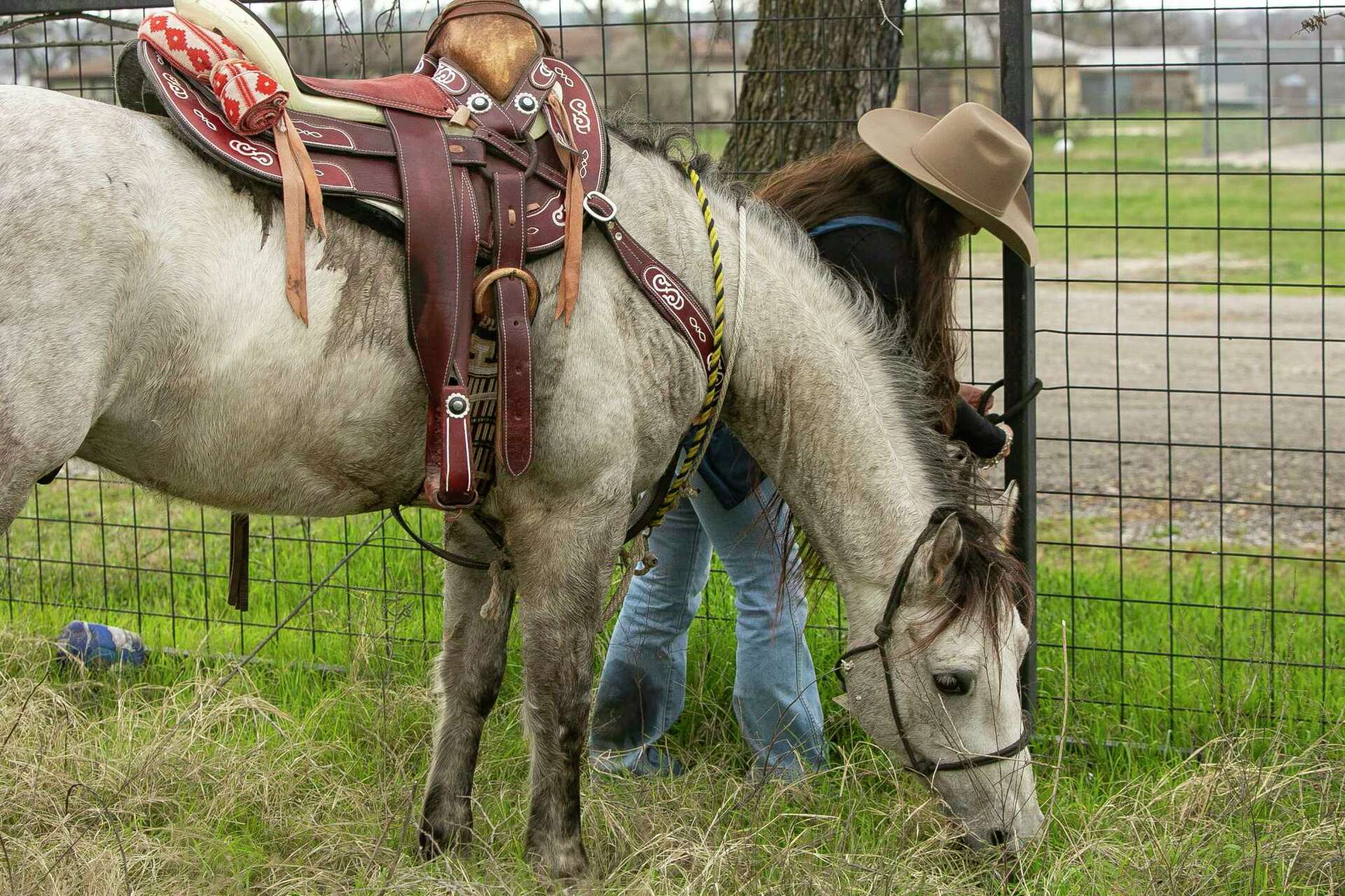 Photos: A guide to San Antonio Stock Show & Rodeo trail rides