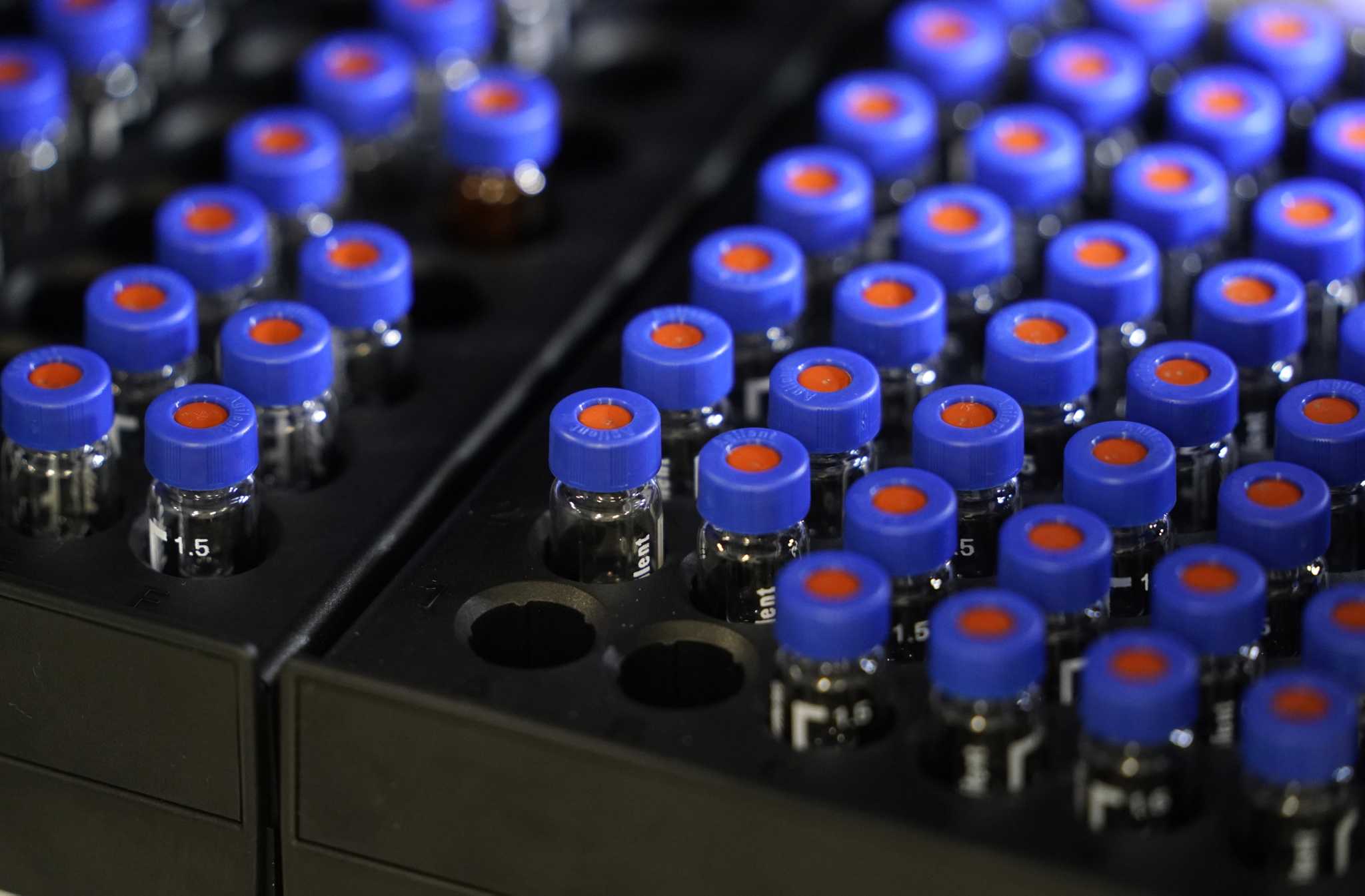 High number of drivers on PCP and other Houston drug facts