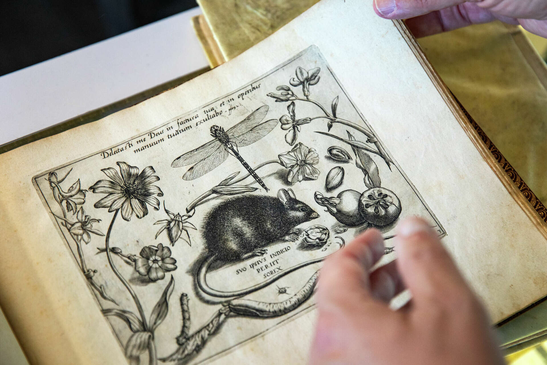 SF Antiquarian Book Fair offers wealth of rare items
