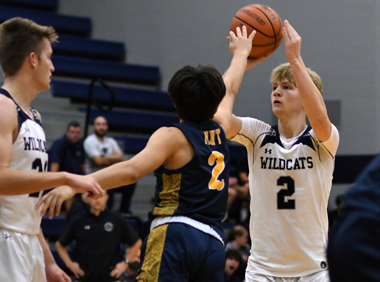Houston boys basketball top performers.