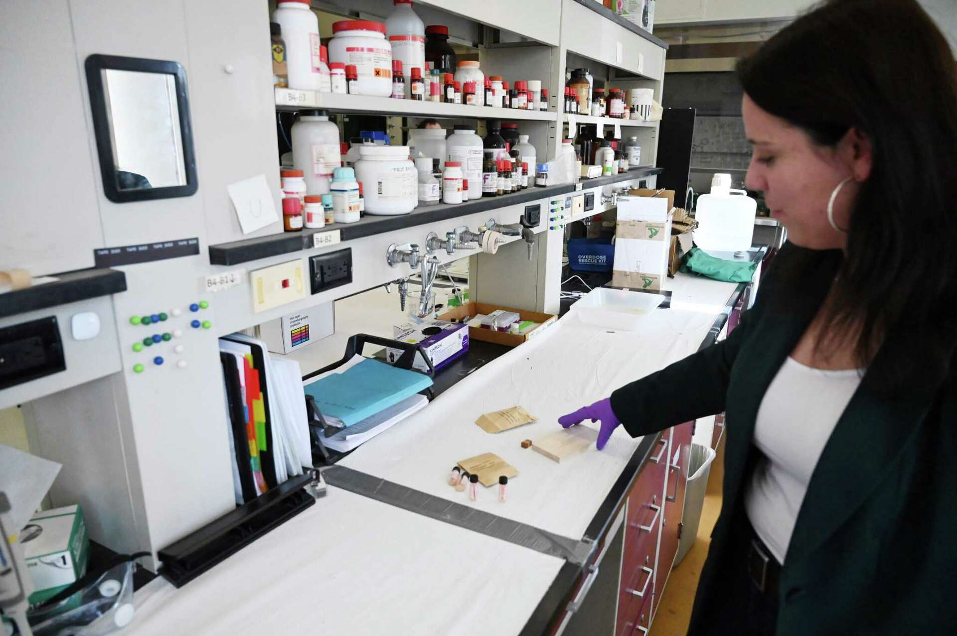 UAlbany researchers use chemistry to protect endangered trees