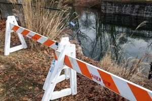 Lisa Backus, Staff Writer - CT Insider