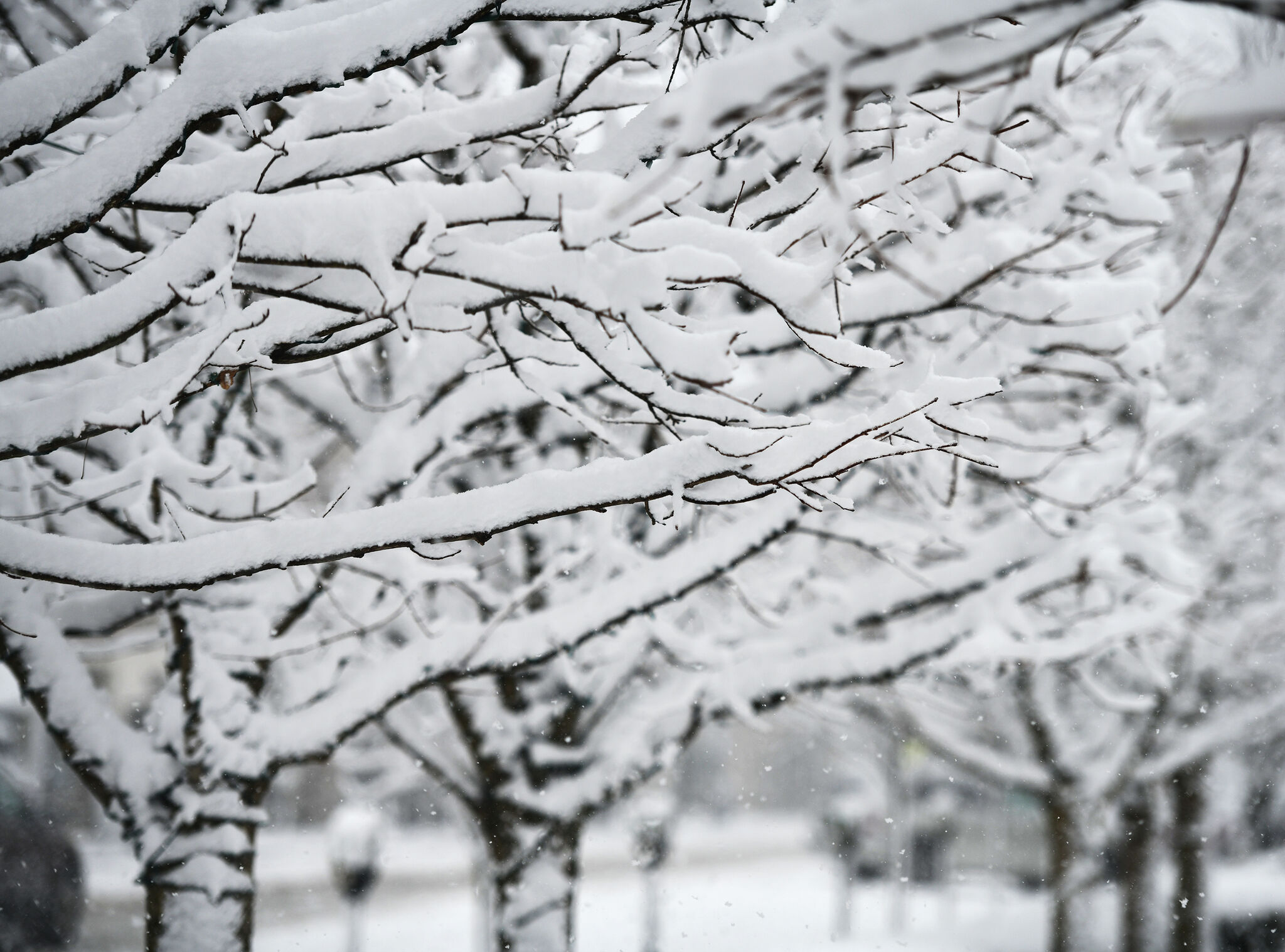 How much snow Stamford and Greenwich got in Tuesday's winter storm