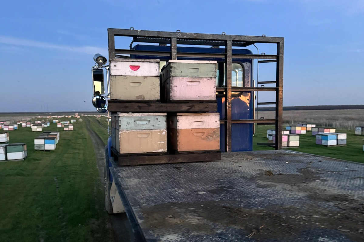 Central California is battling a unique, 'growing' crime problem