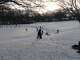 The Best Ice Skating Spots in Madison, According to Locals