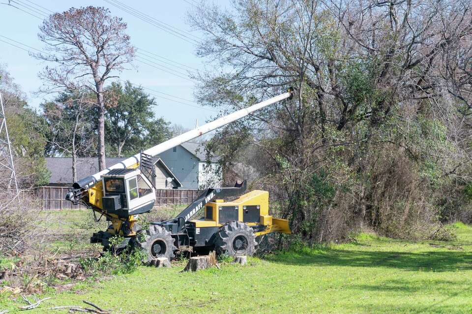 CenterPoint tree removal rattles Shepherd Forest residents