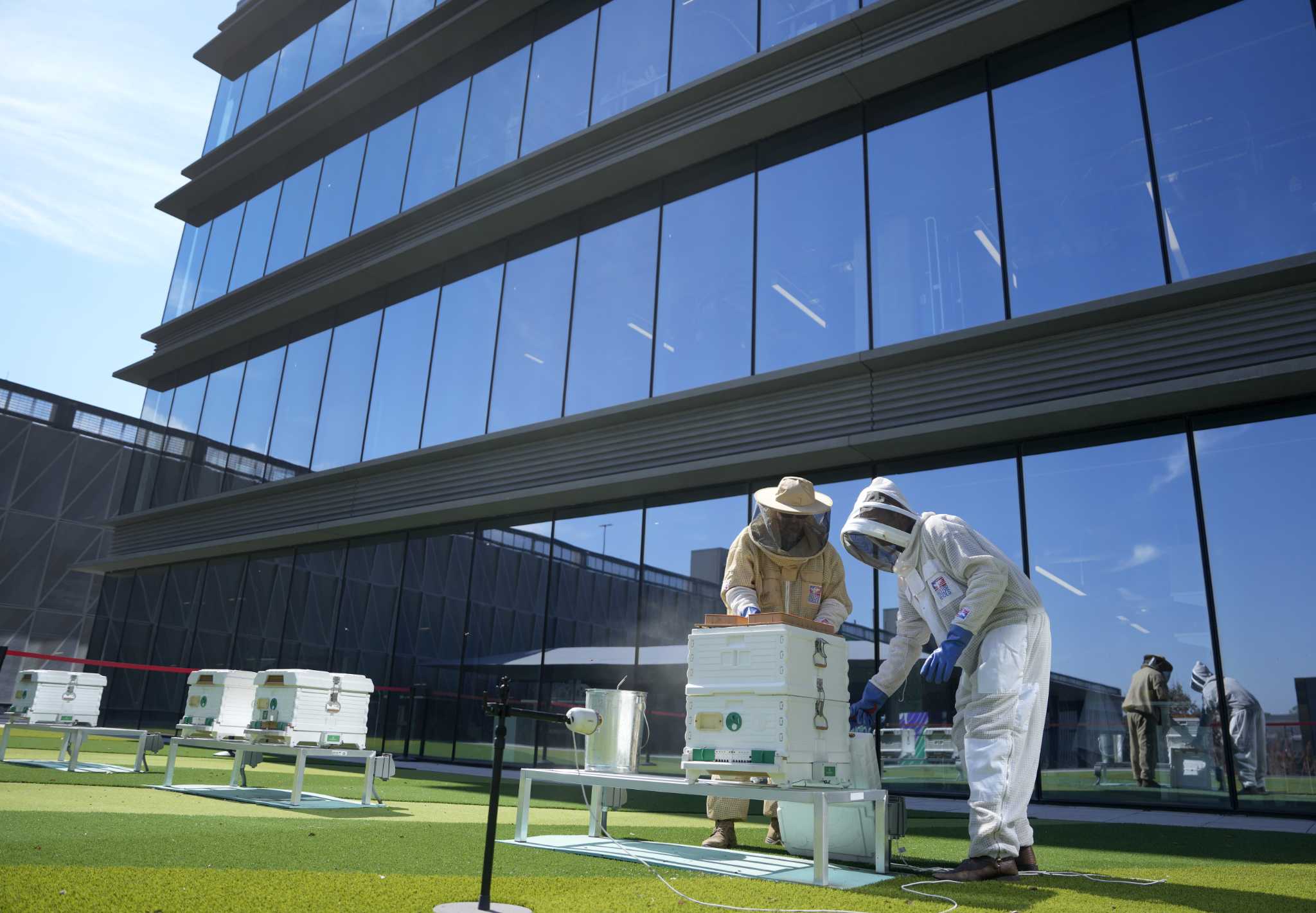 Houston area tech firm using AI to maintain bee hives