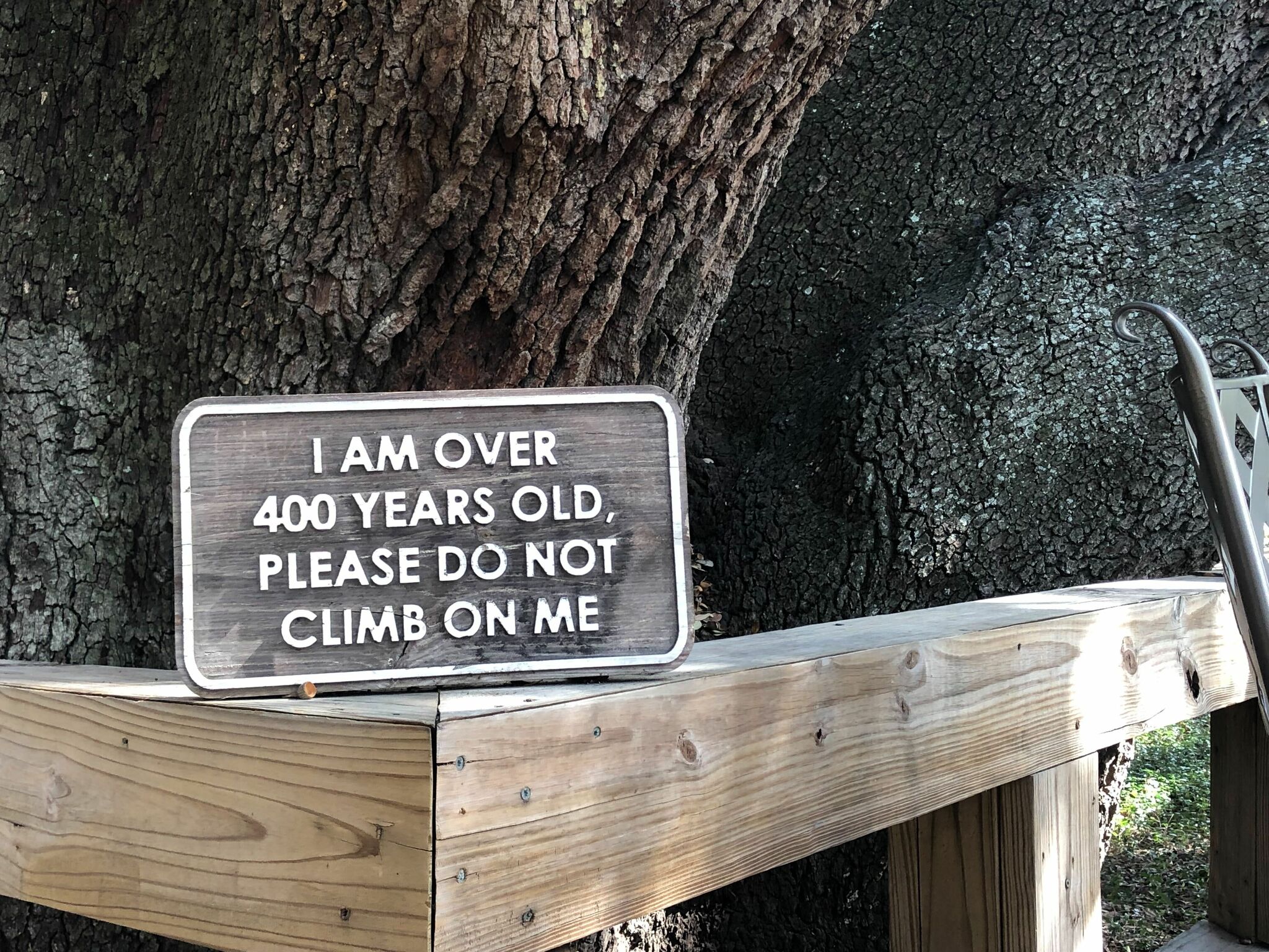 Take time to honor your trees this Arbor Day