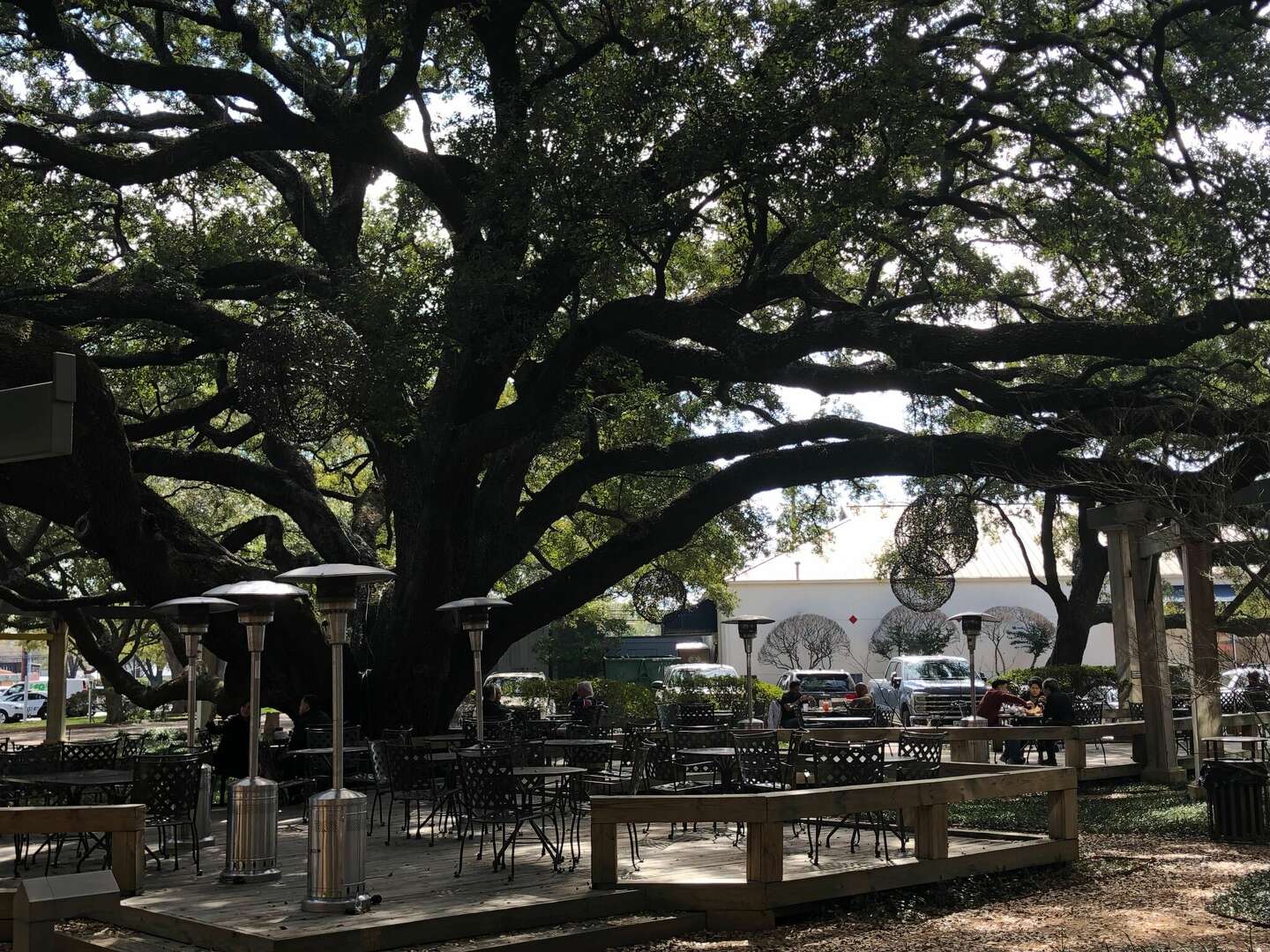 Why Houston Becks Prime was built around 400-year-old trees