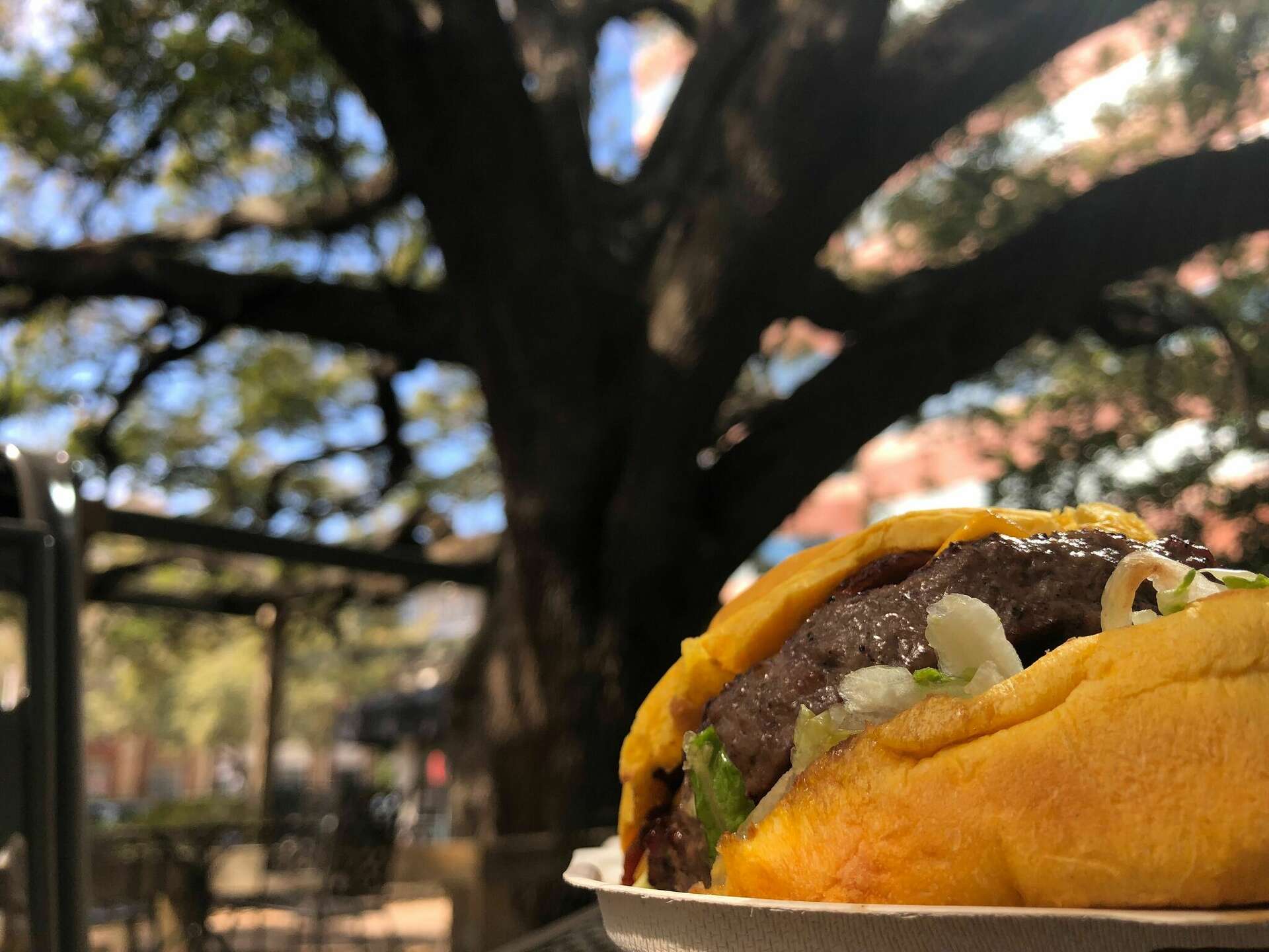 Why Houston Becks Prime was built around 400-year-old trees