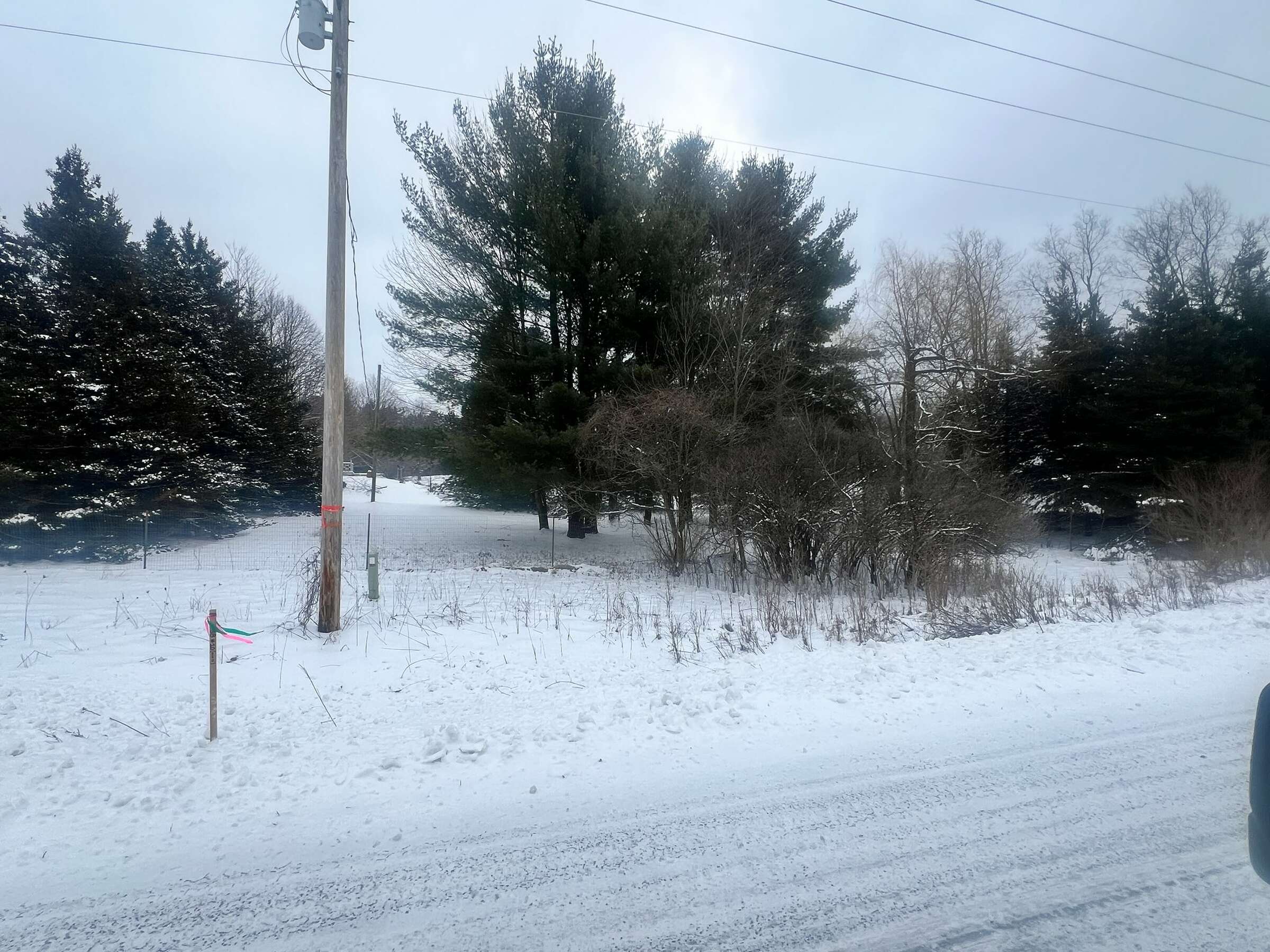 Gotion begins site preparation in Green Charter Township Michigan