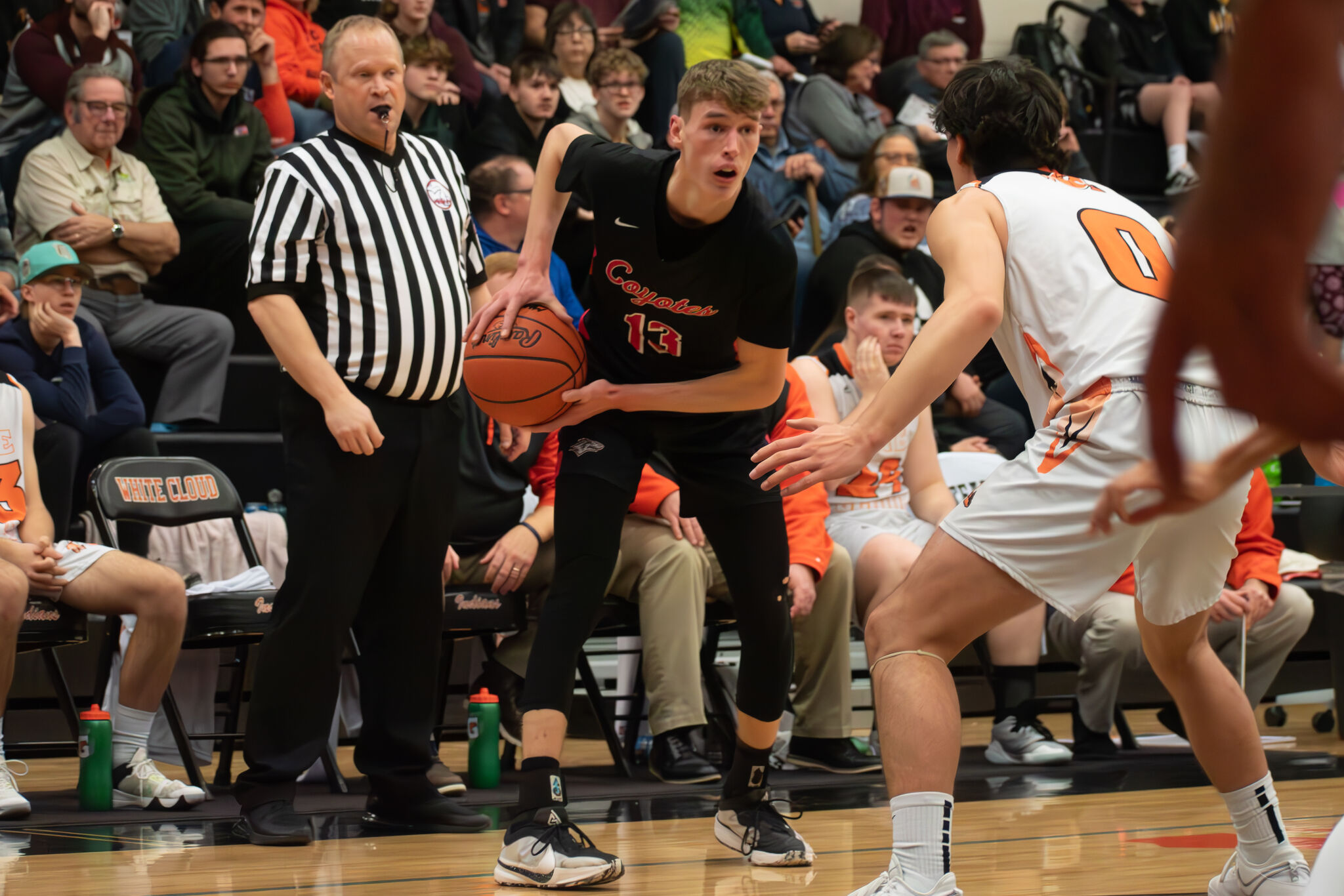 Reed City boys basketball win CSAA title over White Cloud