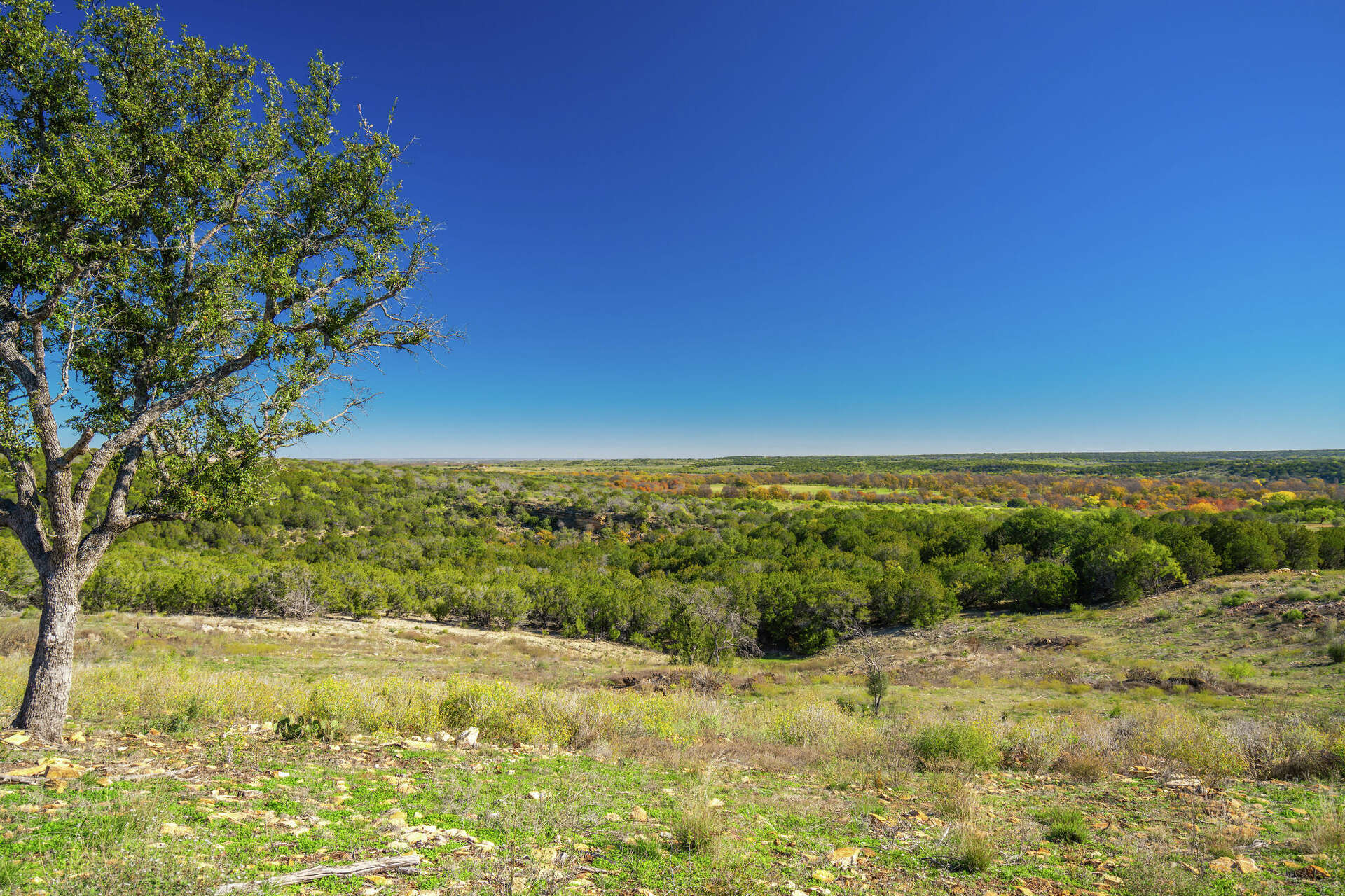 Texas legacy ranch hits market for first time ever