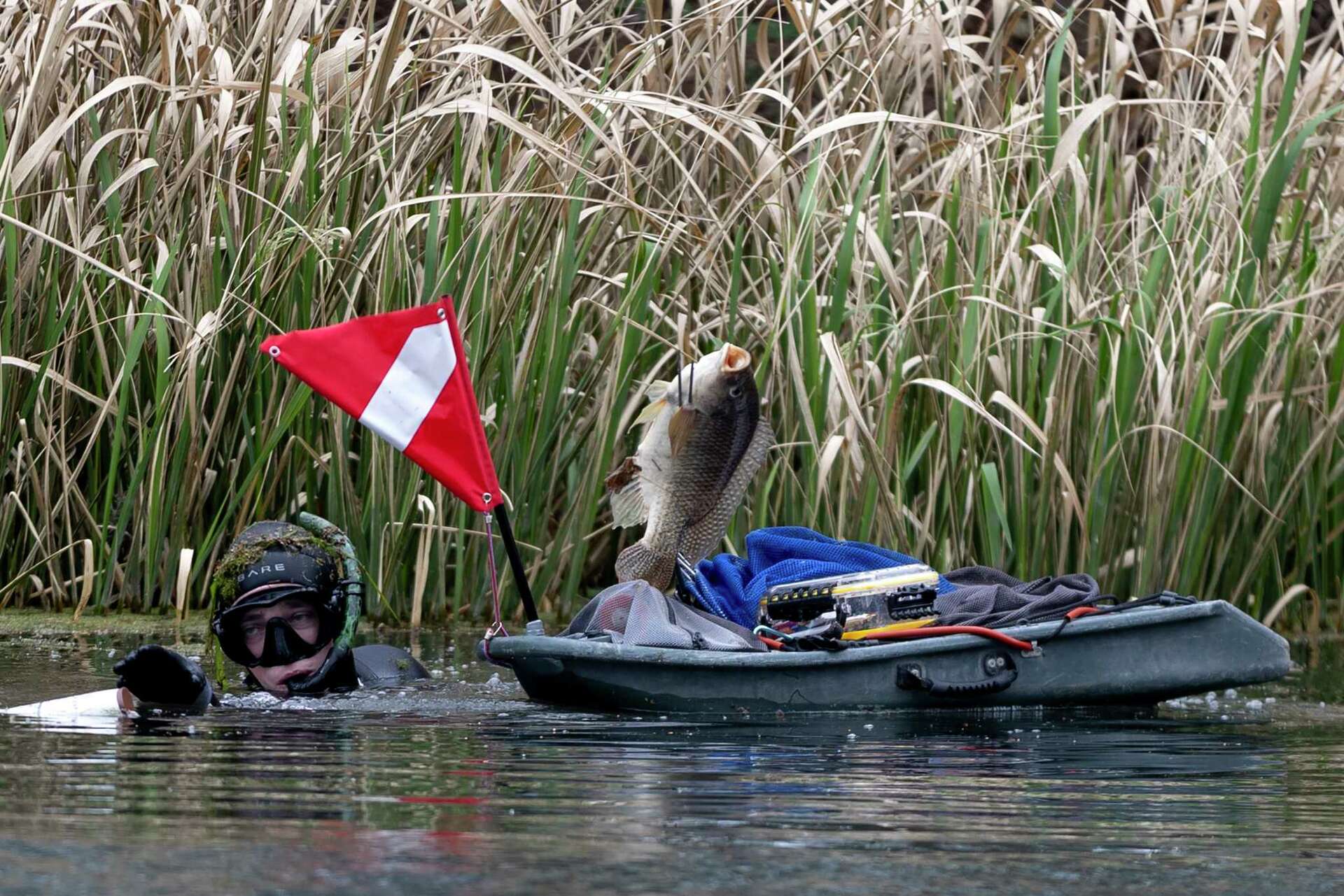 Spearfishing in the San Marcos River? Yes, it’s a real thing.