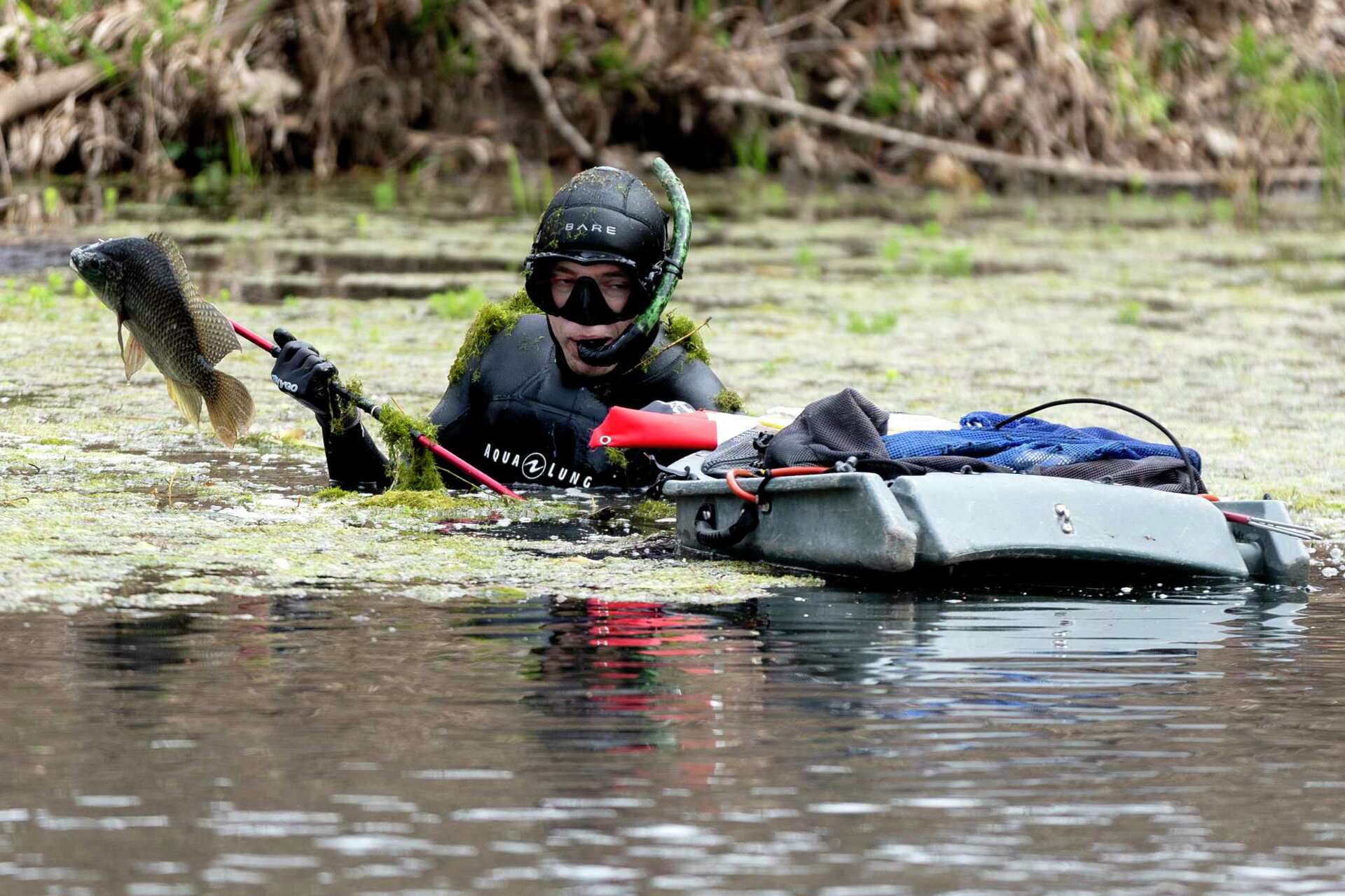 Spearfishing in the San Marcos River? Yes, it’s a real thing.