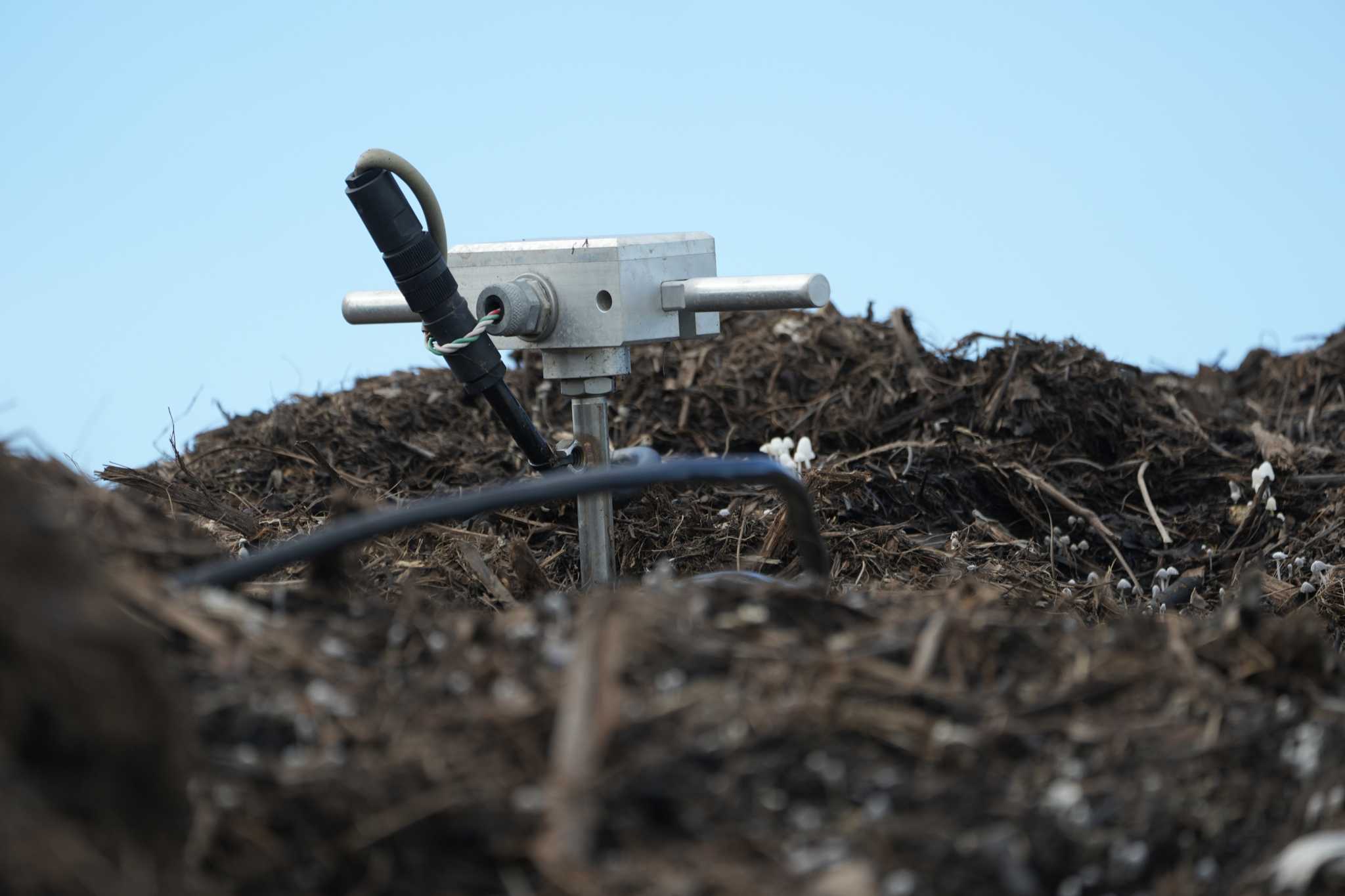 Texas food waste recycling produces free compost for city