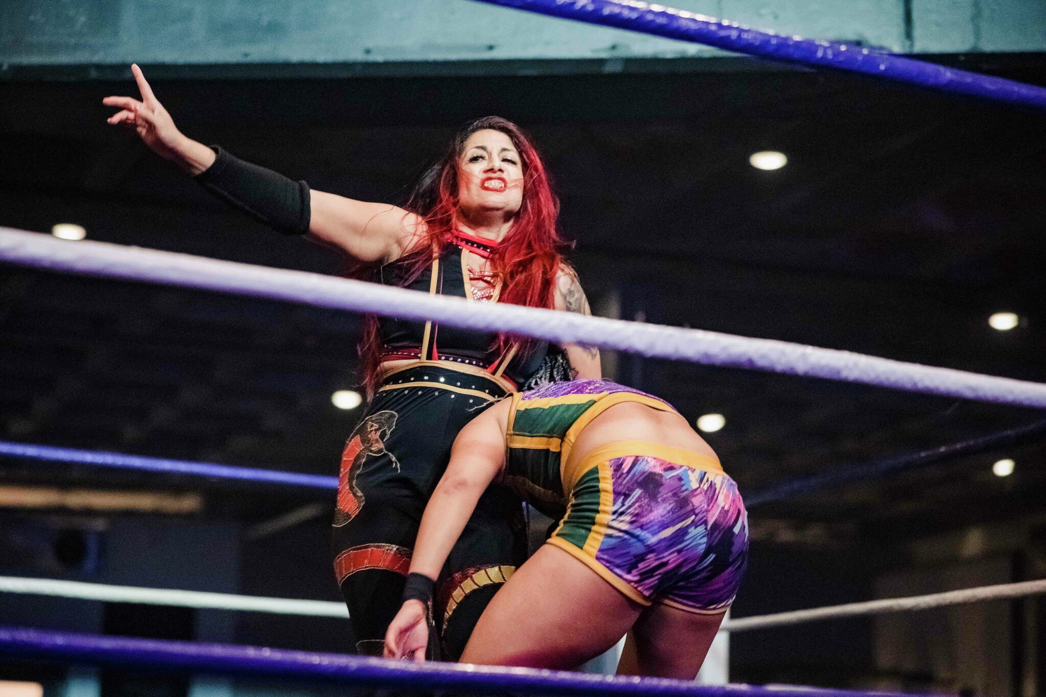 The Dynasty pro wrestling at Empire Live in Albany