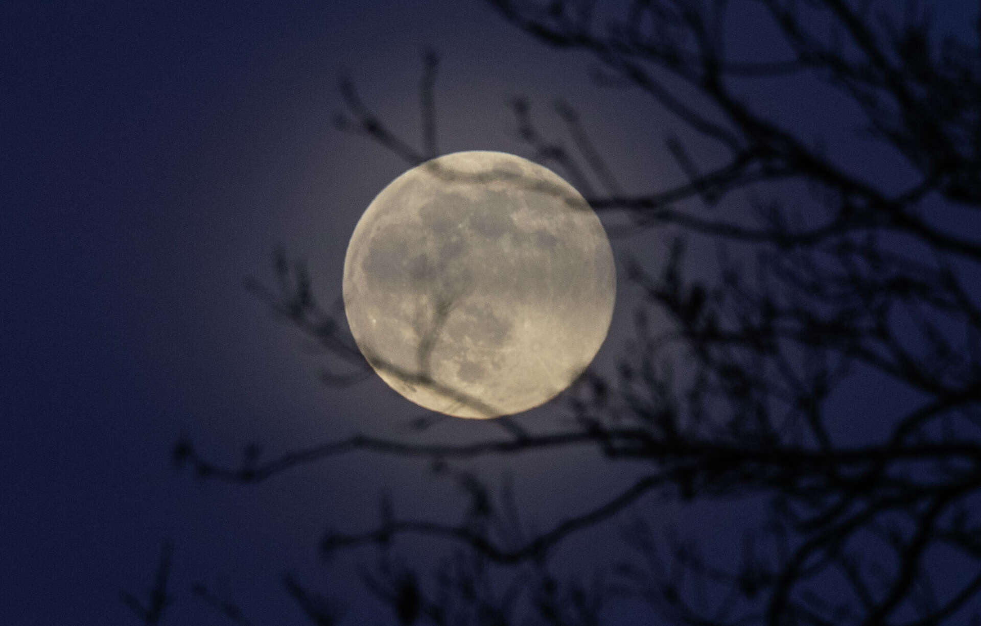 Snow Moon 2024: A micromoon lights up February sky