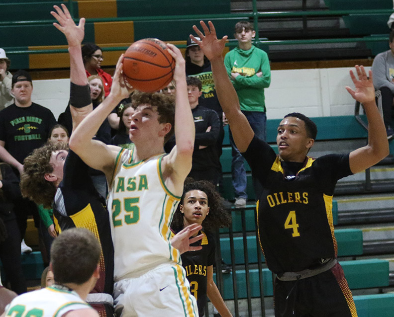 Piasa Birds fend off Oilers at 'survival time' in regional
