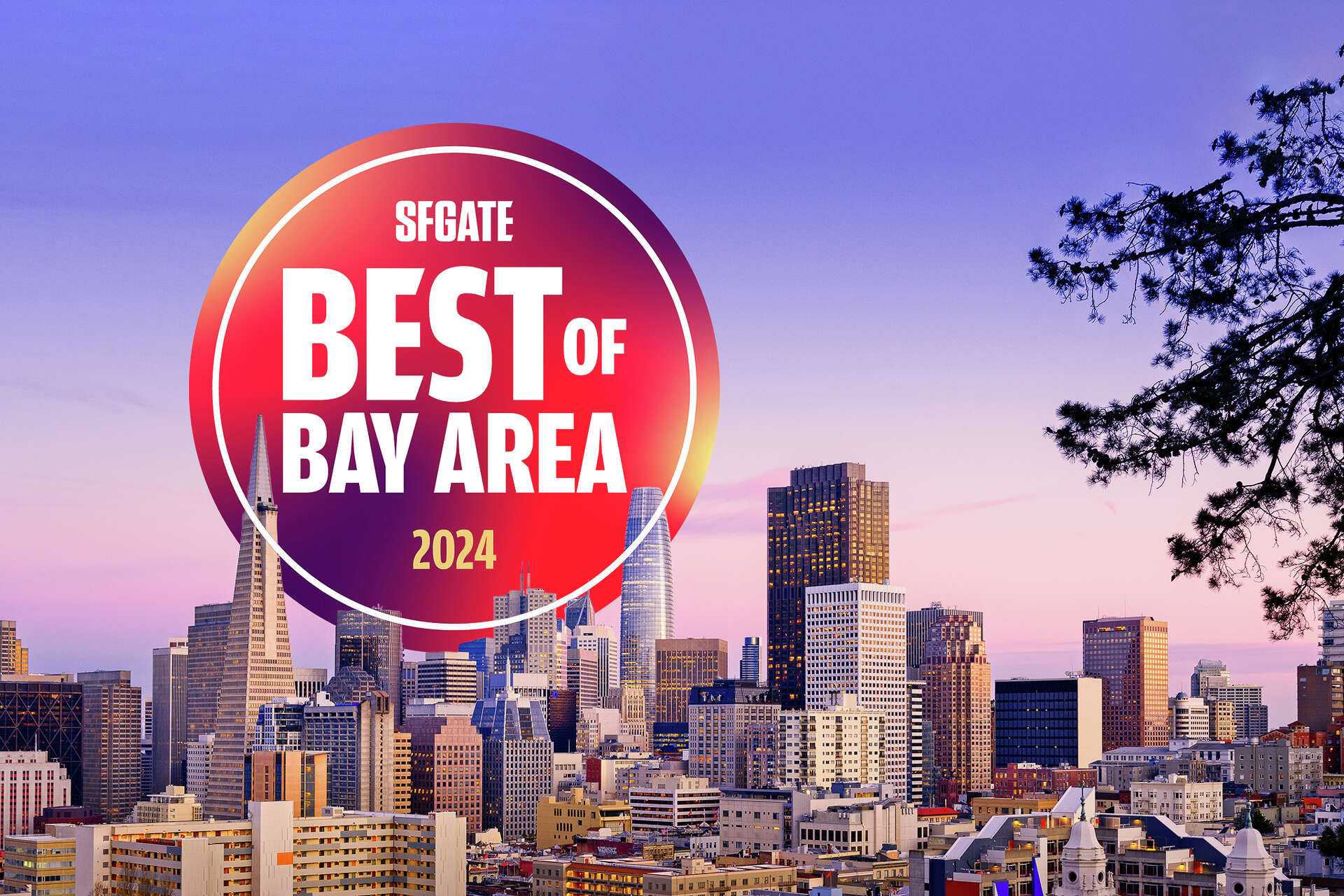 Welcome to SFGATE's first-ever Best of Bay Area
