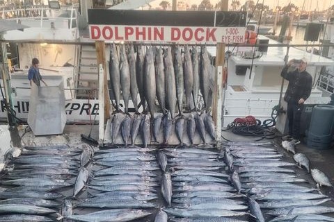 Record wahoo haul for Dolphin Docks along Texas Gulf Coast