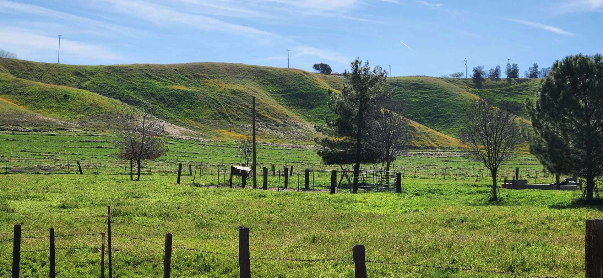 Swath of California Central Coast land to be preserved with $10M grant
