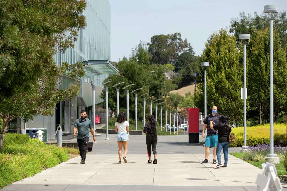 CSU enrollment drop impacts Bay Area: SFSU, East Bay and Sonoma