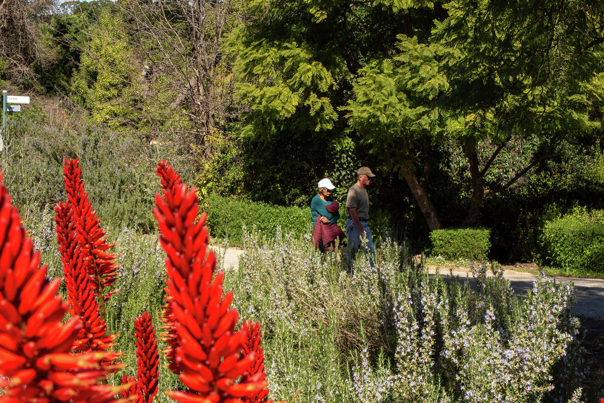 The California botanic garden built atop decades of LA's trash
