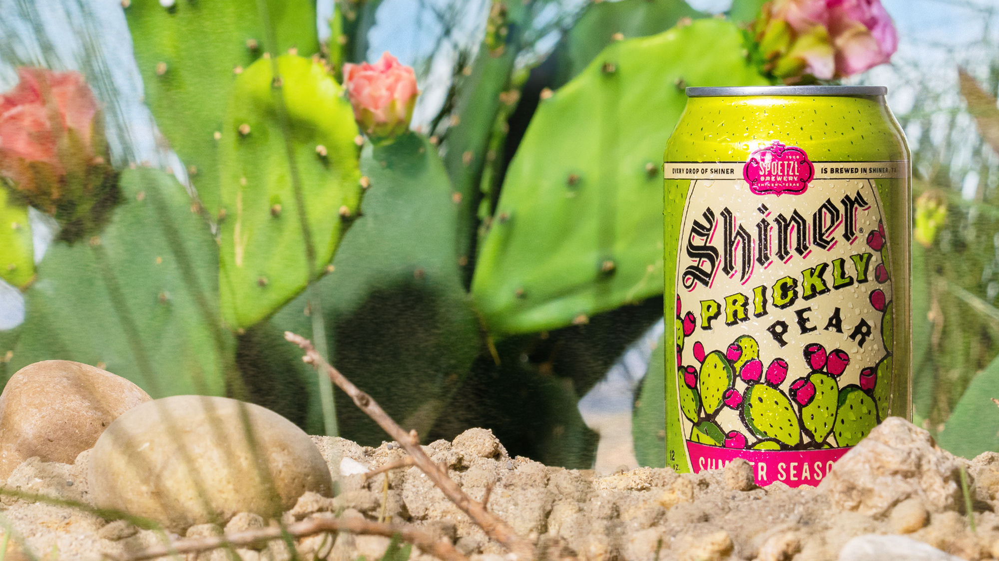 Texas' Shiner Beer makes Prickly Pear available year-round