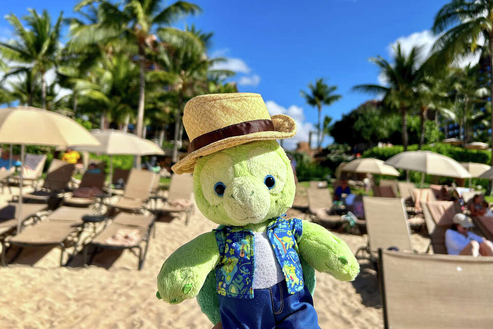 This Disney character is popular in Hawaii and Japan, but not here