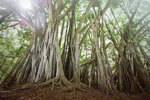 The Hawaii resort that's become a favorite Hollywood film location