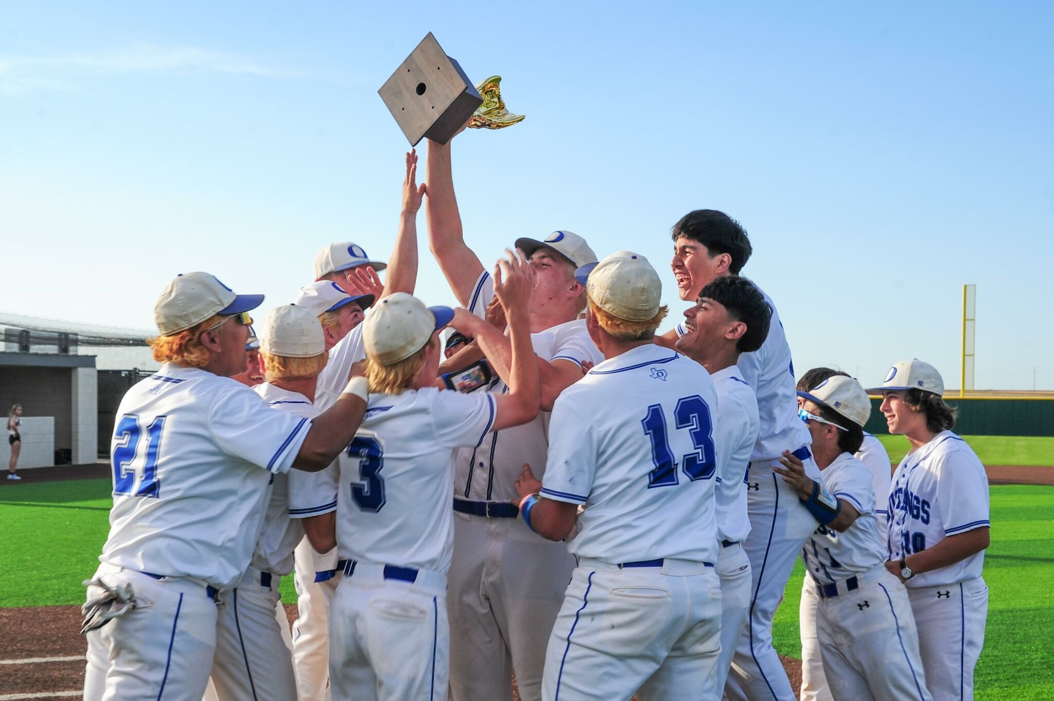 2024 Plainview-area high school baseball preview