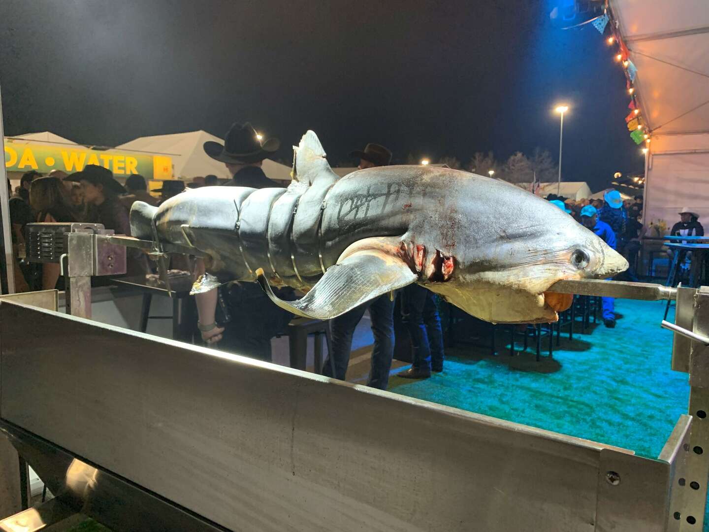 Alison Cook reviews Houston 2024 rodeo barbecue cook-off