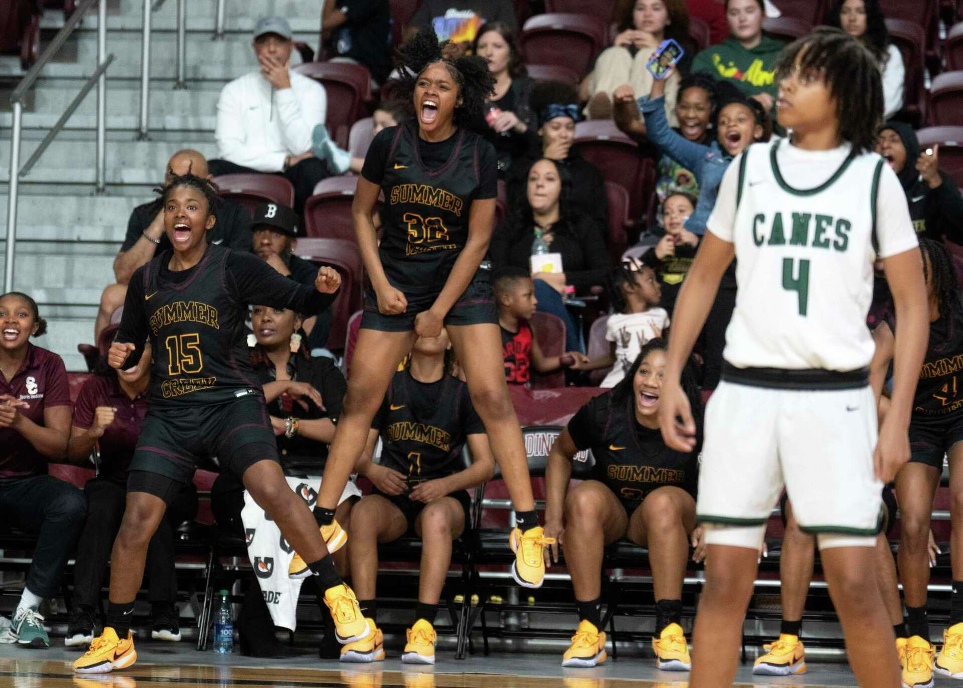 Summer Creek Bulldogs dominate in regional championship win