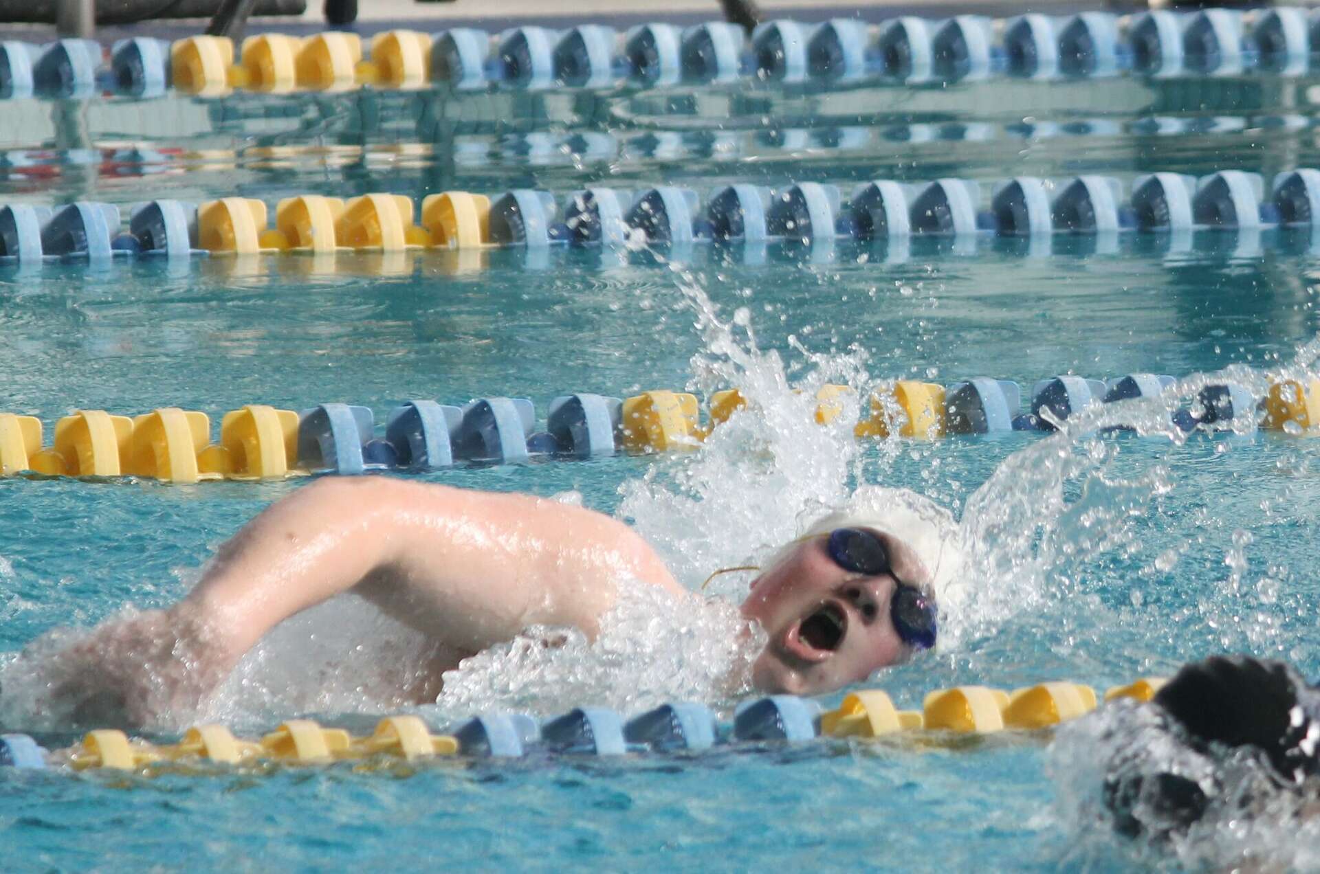 Manistee swimming hosts conference championship meet