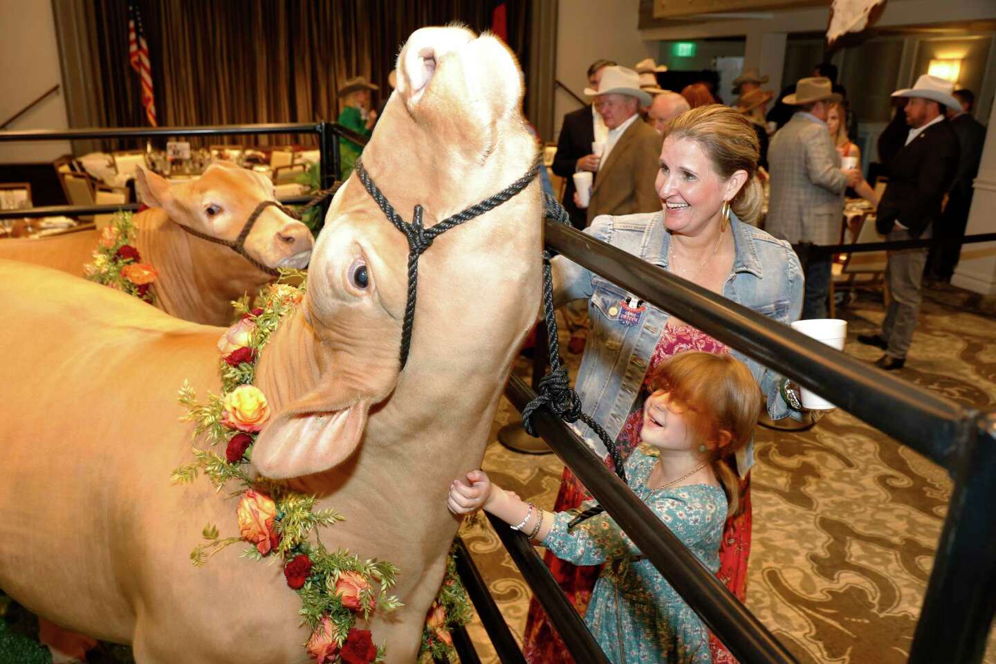 San Antonio Stock Show & Rodeo celebrates champion steers
