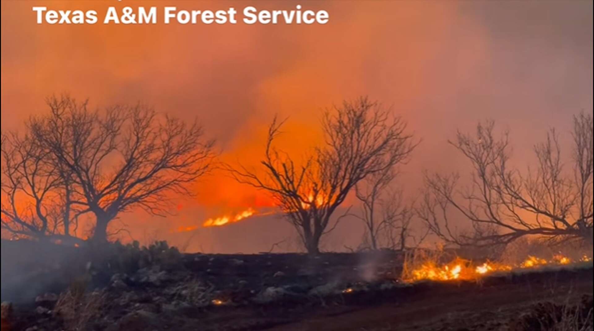 Texas panhandle wildfire hardly contained