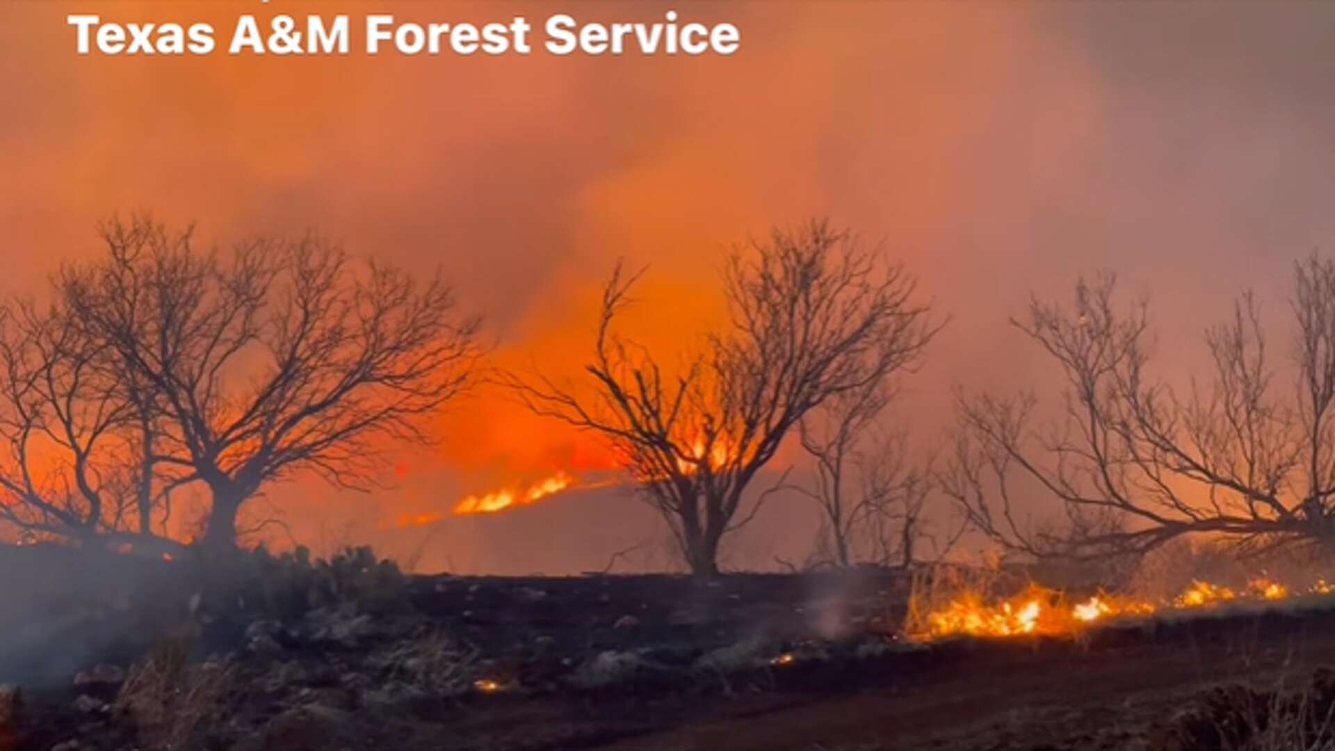 Texas panhandle wildfire hardly contained