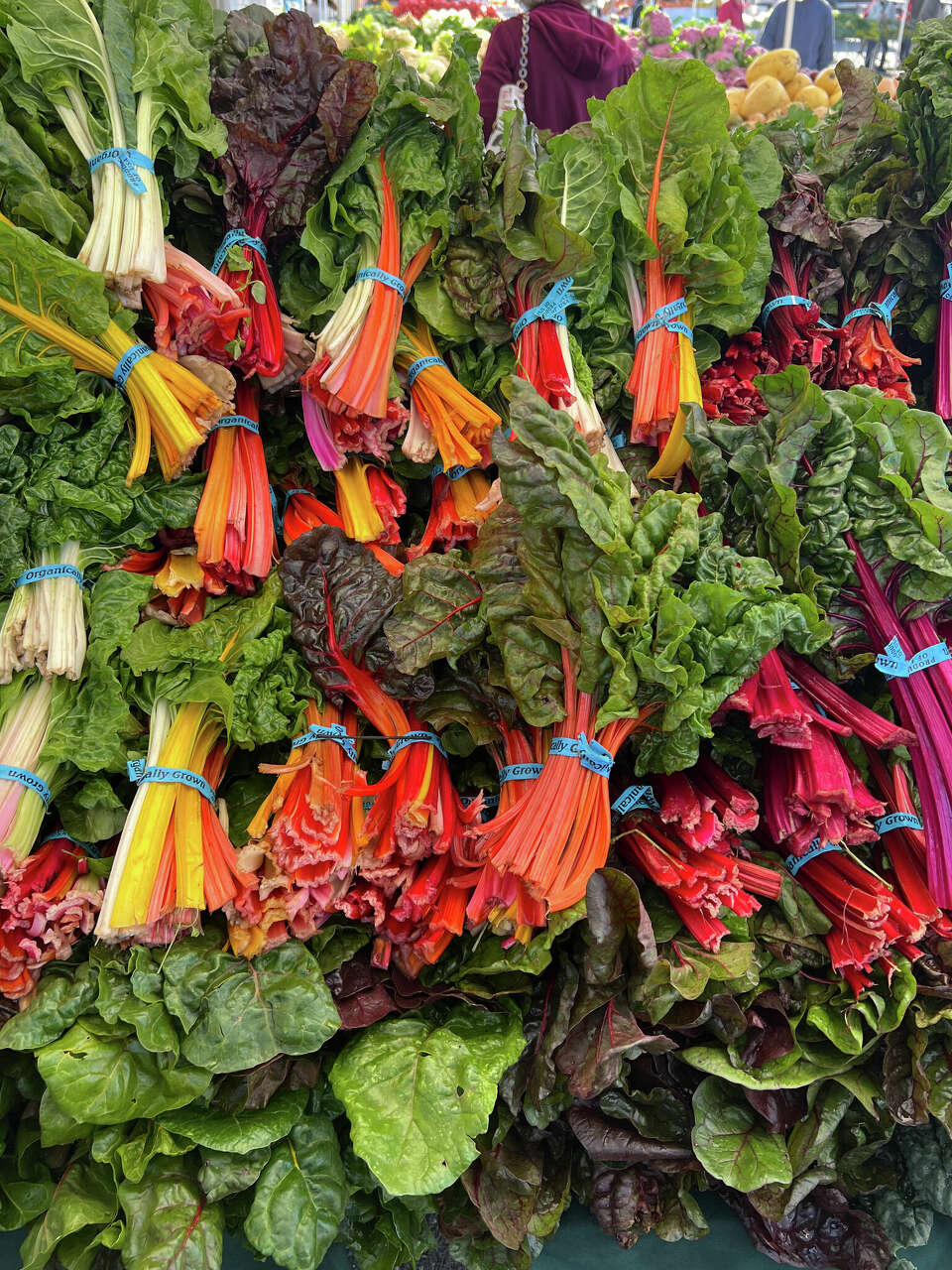 Recipe: Gochujang Swiss Chard Noodles