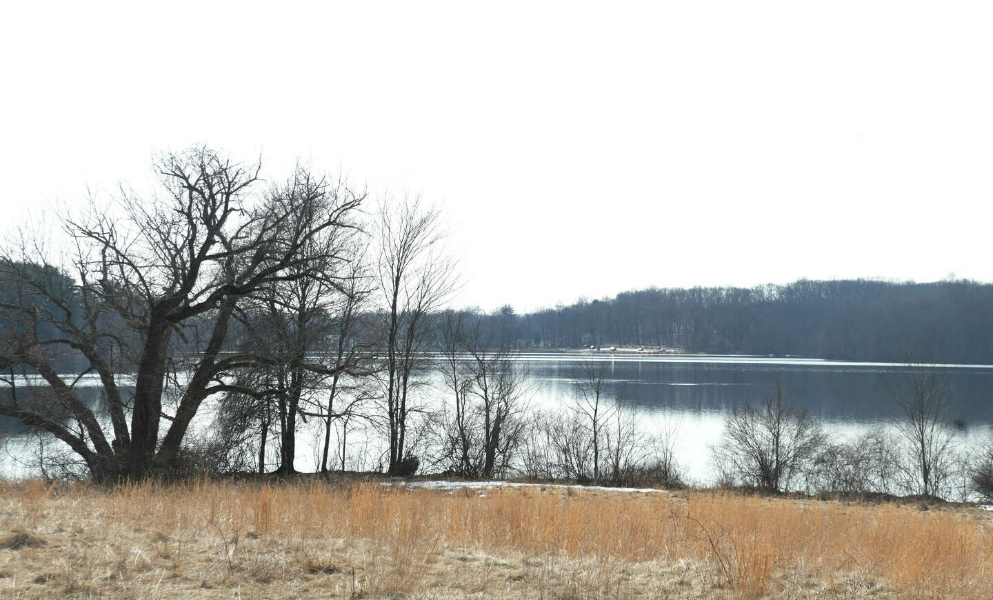 New bill proposes revival of long-shuttered Batterson Park in Hartford