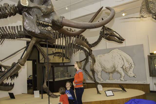 The 8 Best Museums in Madison, Wisconsin