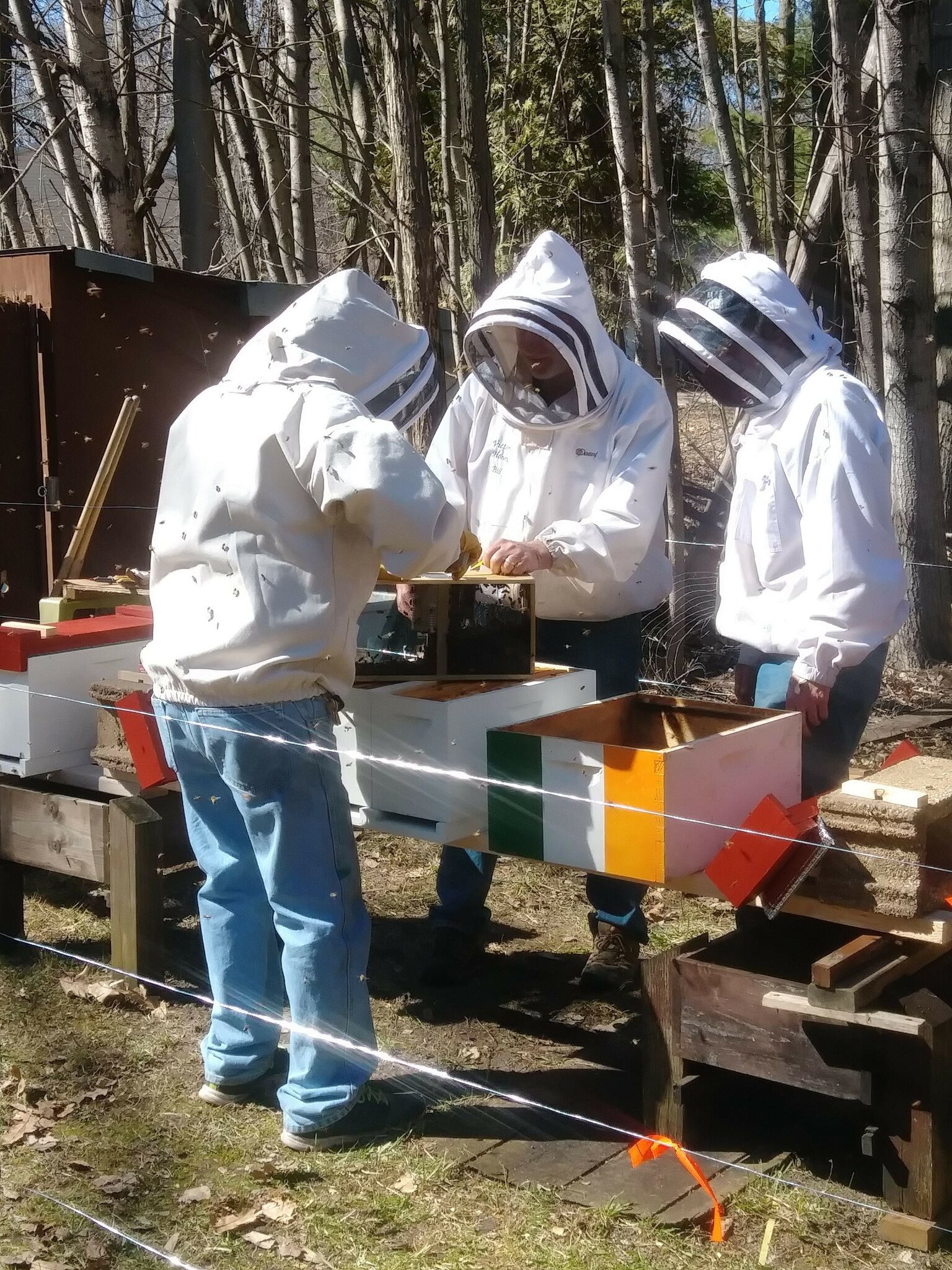 Scottville Beekeepers to host introductory workshop