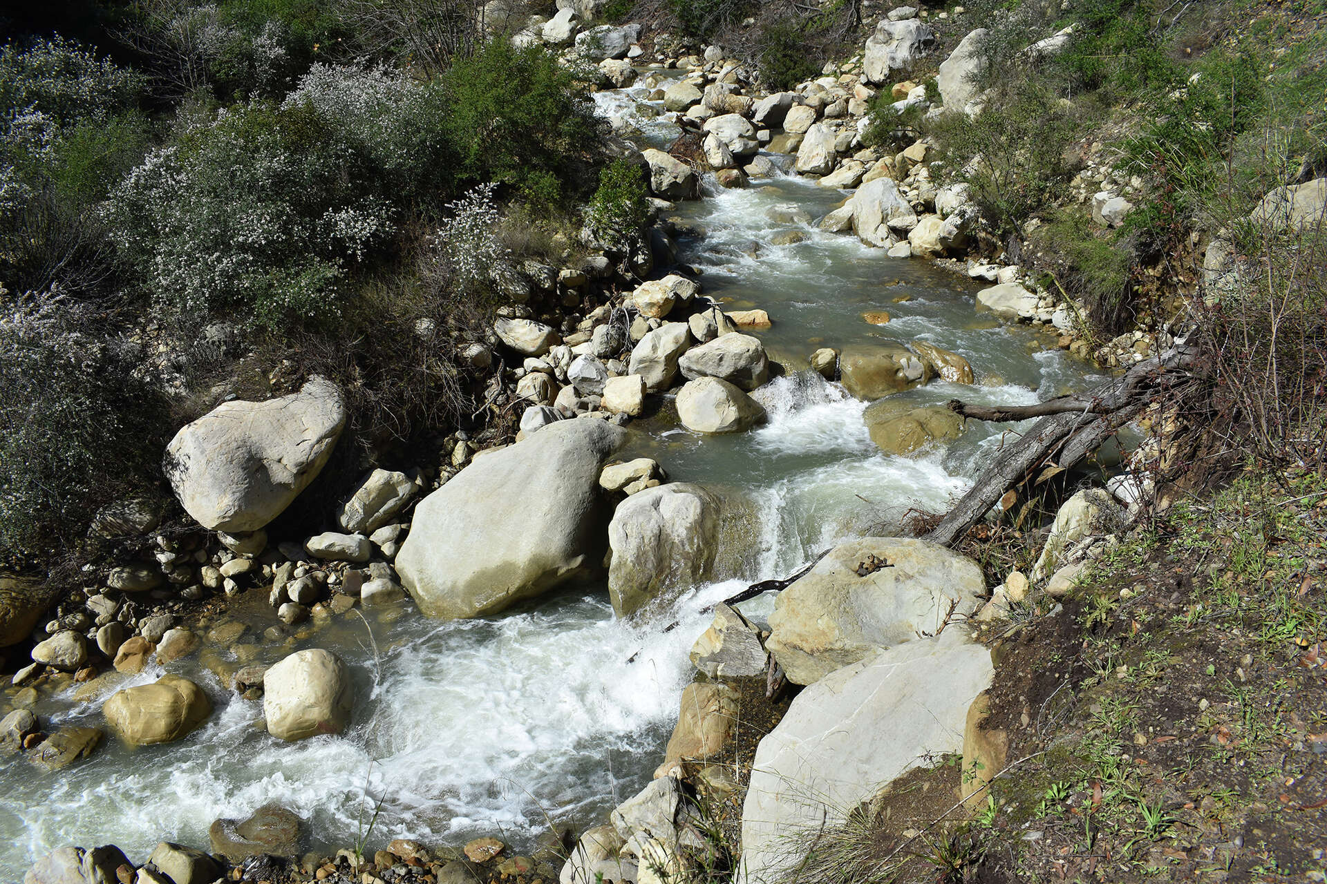 This posh town has some of California's most stunning hikes