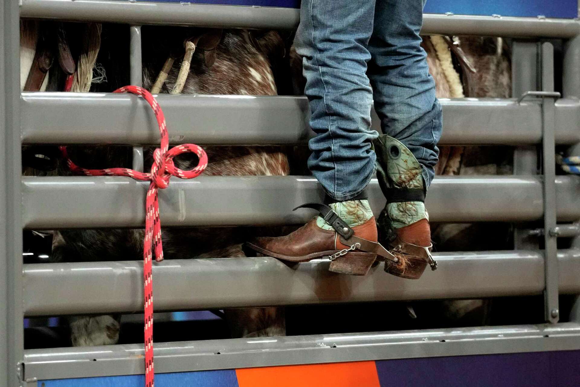 Black Heritage Day among Houston Rodeo special days